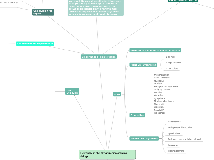BIOLOGY UNIT CONCEPT MAP ASSIGNMENT update...- Mind Map